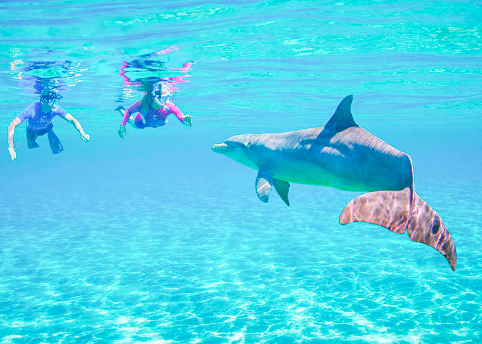 Hamata Island Snorkeling Trip From Marsa Alam - GEM Egypt Tours